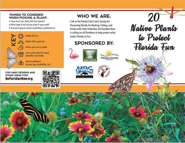 Florida Native Plants - Be Floridian Now